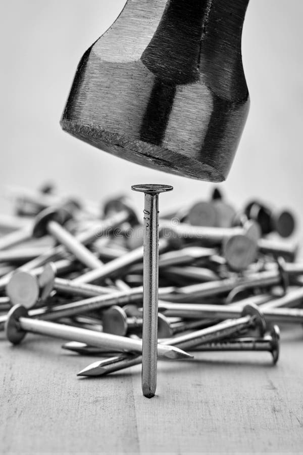 Hammer and Nail Macro stock image. Image of woodworking - 87836101