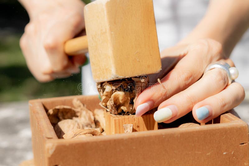 Hammer nutcracker stock image. Image of nuts, peel, particles - 248851079