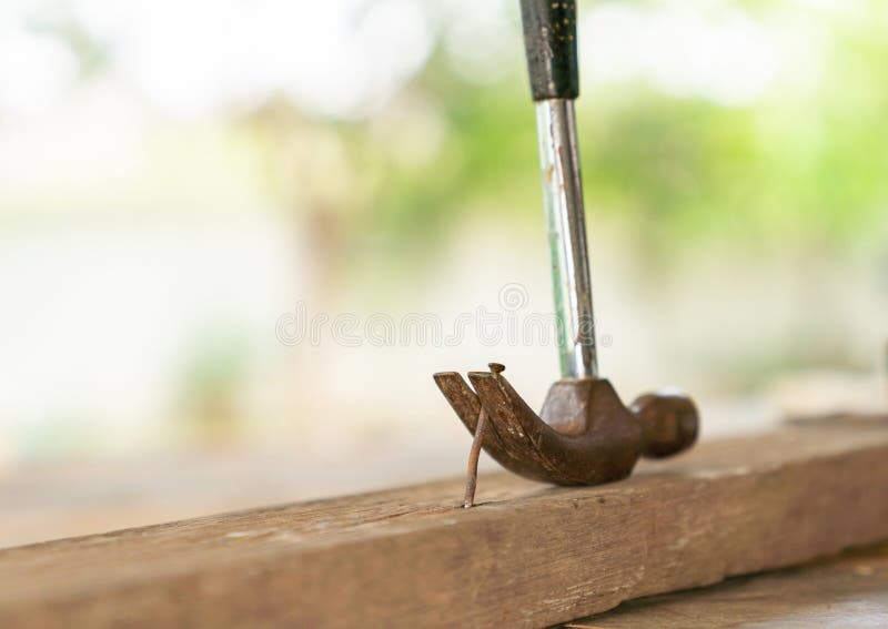 Hammer Pulling Rusty Nail Remove Out of Old Wood Stock Image - Image of ...