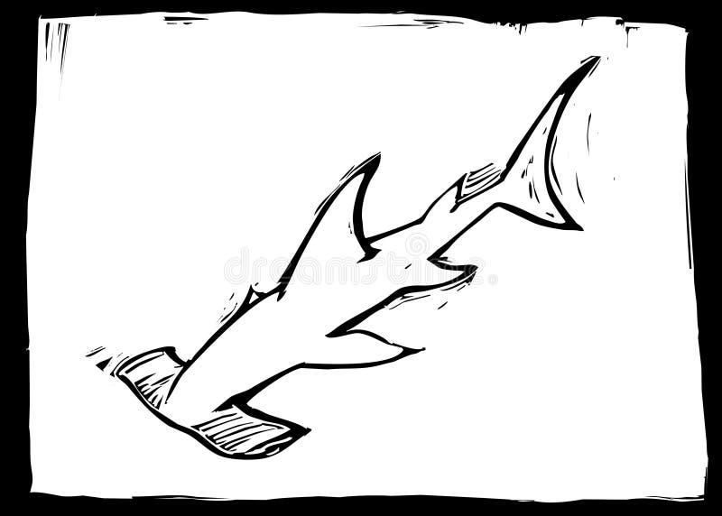 Hammerhead stock vector. Illustration of pacific, hammerhead - 17460055