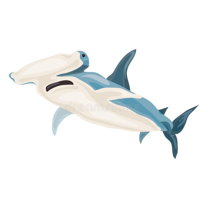 Hammerhead Shark Icon, Cartoon Style Stock Vector - Illustration of ...