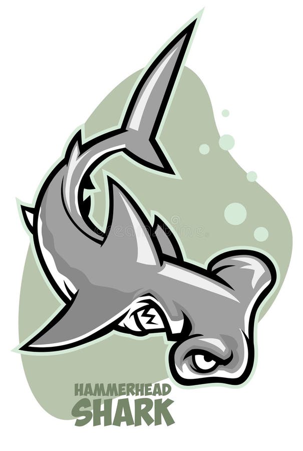 Hammerhead shark stock vector. Illustration of aquatic - 24350032 Hammerhead shark stock vector. Illustration of aquatic - 24350032