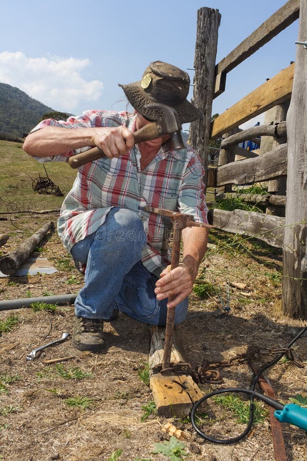 Hammering on farm stock image. Image of steel, fashion - 59700985