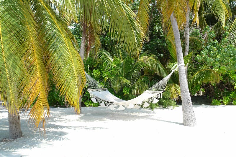 Hammock stock photo. Image of resort, tree, maldives, palm - 1715786