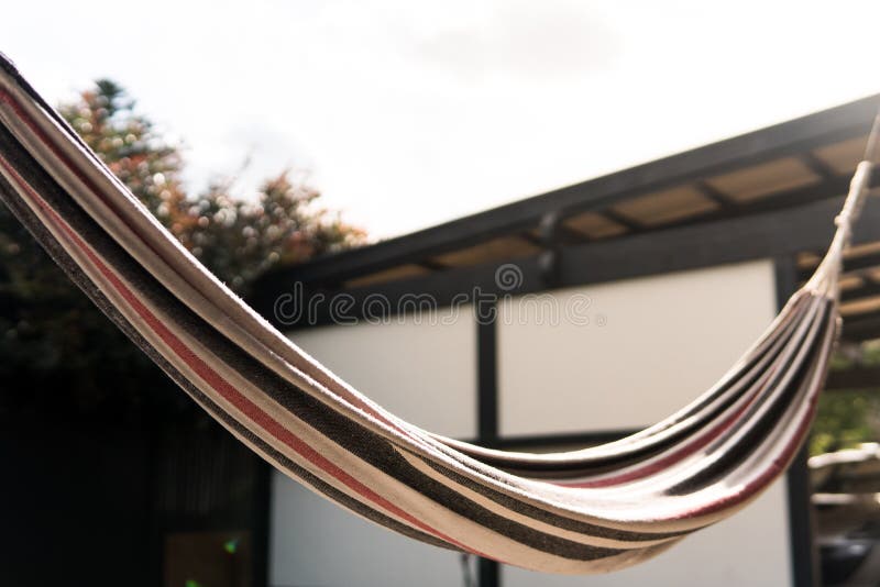 Hammock in the Backyard in Afternoon Sun Stock Photo - Image of home ...