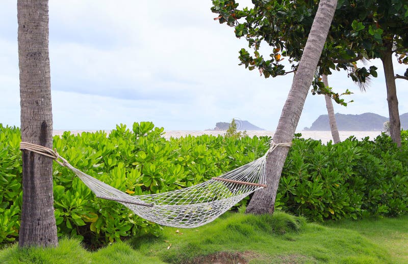 Hammock on Beach Garden for a Concept of Relaxation Stock Photo - Image ...