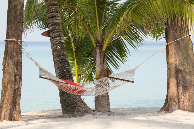 Hammock on a Beautiful Tropical Beach Stock Photo - Image of landscape ...