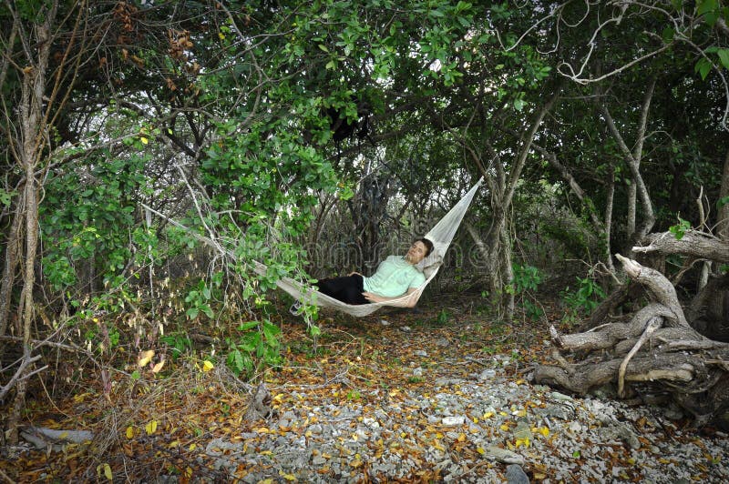 Hammock in the jungle stock image. Image of travel, adventurous - 53006509