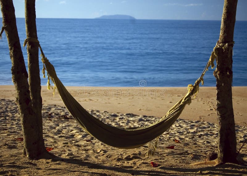 Hammock stock photo. Image of tropical, relax, palmtree - 54076498