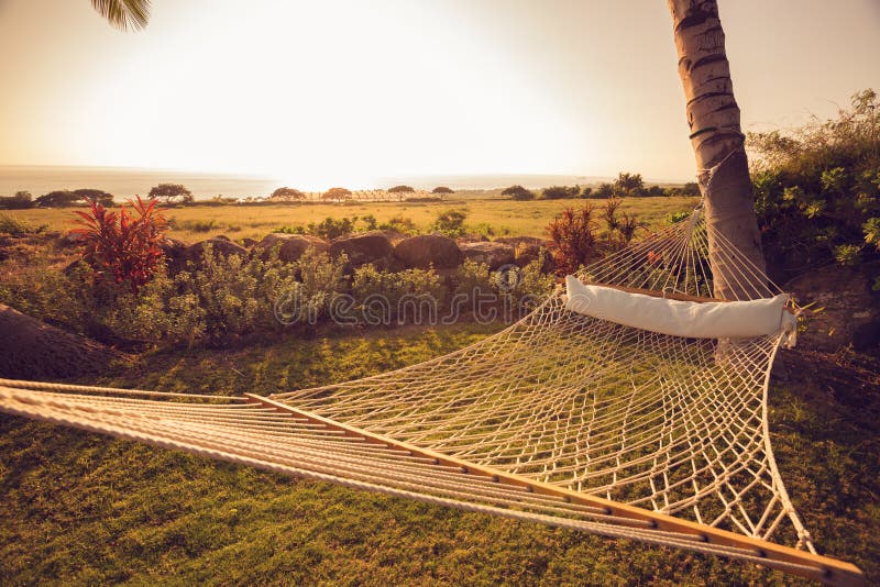 Hammock at Sunset in Paradise Stock Photo - Image of relaxation, shore ...