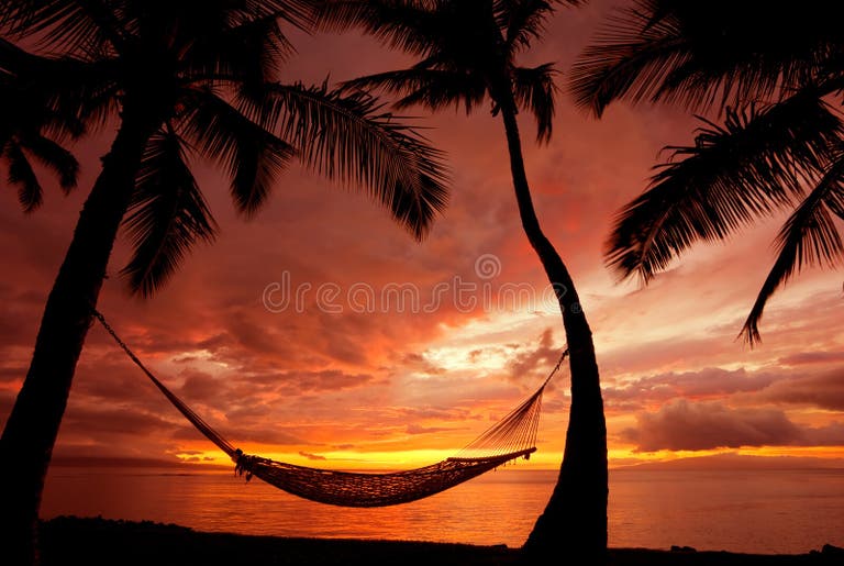 Hammock at Sunset in Paradise Stock Photo - Image of relaxation, shore ...