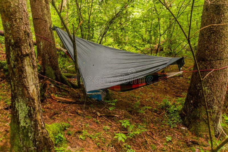 Hammock with a Tarp in a Forest in the Czech Republ Stock Photo - Image ...