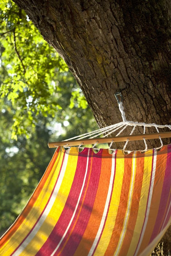 Hammock and tree stock image. Image of garden, siesta - 62567327