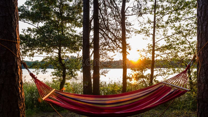Hammock in trees stock image. Image of beauty, sunset - 82895241