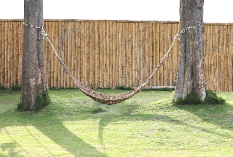 Hammock between Trees with Green Grass Field. Stock Photo - Image of ...