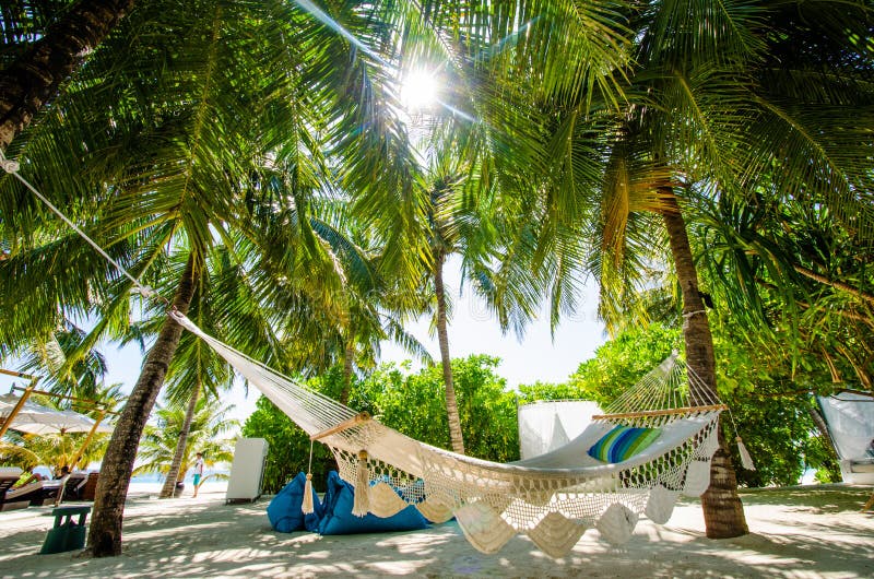 Hammock at tropical bar stock photo. Image of tables - 62635206