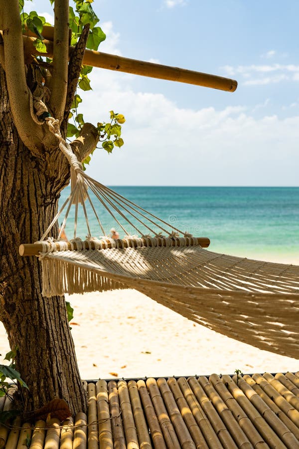 Hammock on the Tropical Beach Stock Image - Image of beautiful ...
