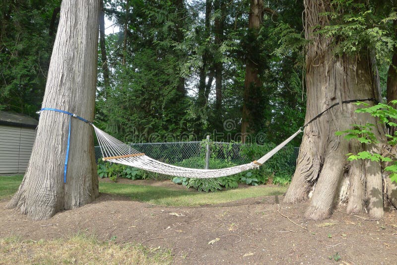 Hammock between Two Big Trees Stock Photo - Image of swing, shadow ...