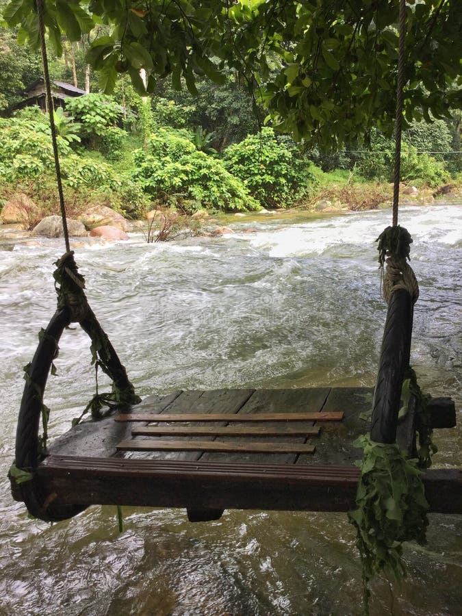 Hammock stock photo. Image of wood, swing, hammock, trees - 63170598