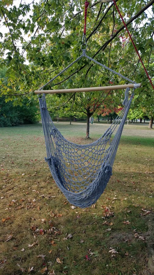 Hammock under the tree stock photo. Image of relax, calm - 256282672