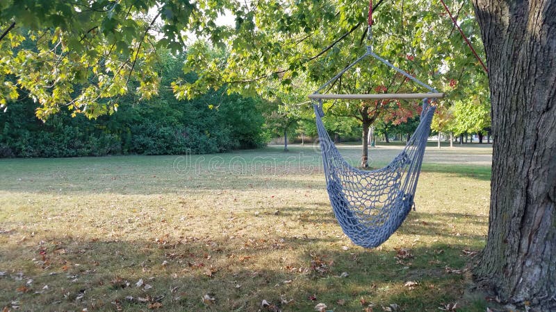 Hammock under the tree stock image. Image of beautiful - 256282699