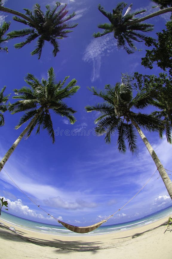 Hammock world stock photo. Image of paradise, escape - 28423950