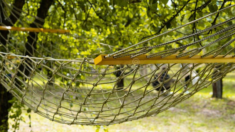 Hammocks Hanging among the Trees in the Forest, on the Green Grass and ...