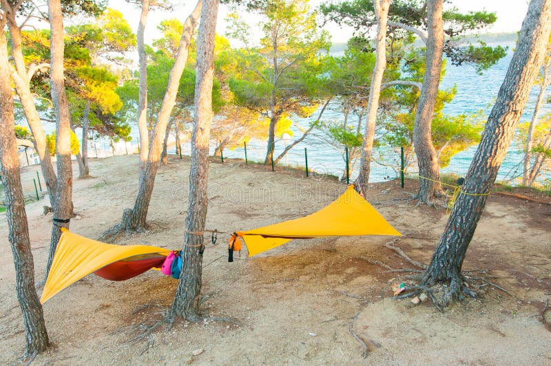 Hammocks Suspended on the Tree, Camping by the Lake Stock Photo - Image ...