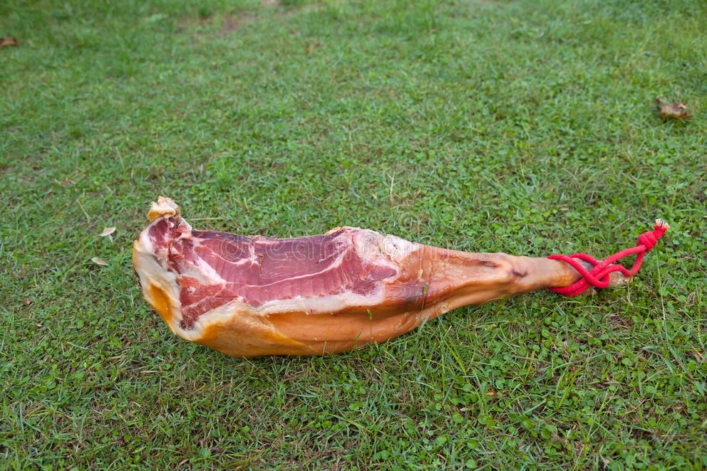Hammon Pork Leg on the Green Grass Stock Photo - Image of green, meat ...
