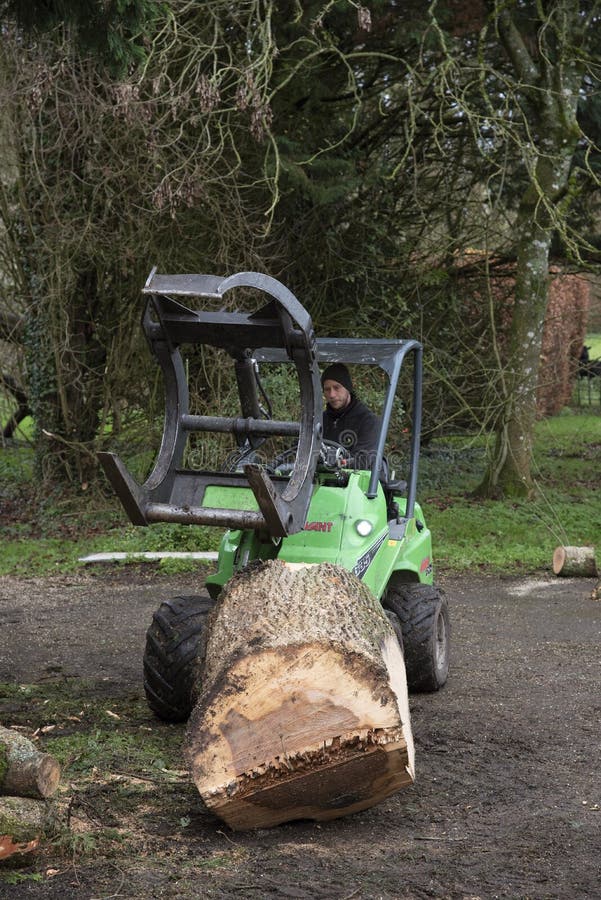Tree Trunk Being Moved Using a Small Tractor Editorial Photo - Image of ...