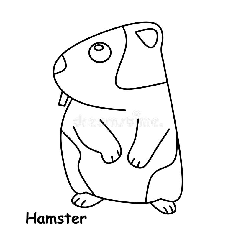 Hamster Tracing Stock Illustrations – 35 Hamster Tracing Stock ...