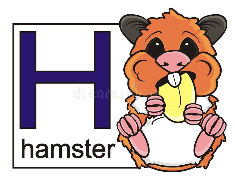 Hamster and a Card with the Letter H Stock Illustration - Illustration ...