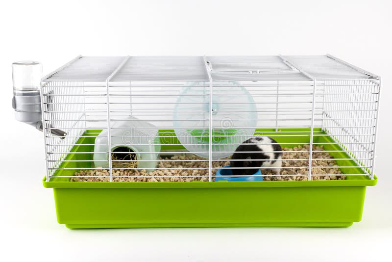 Hamster Die in Een Kooi Op Wit Eet Stock Afbeelding - Image of hamster ...