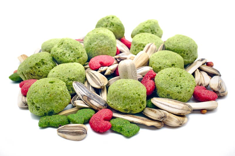 Hamster with food stock image. Image of crop, nose, animal - 26272265