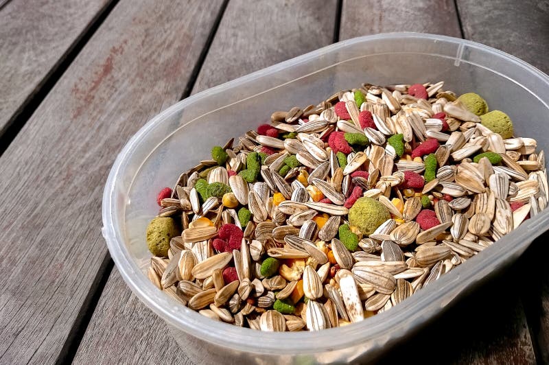 Hamster Food on Wooden Table Stock Photo - Image of closeup, mixture ...