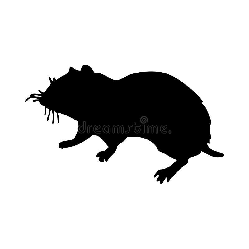 Hamster silhouette stock vector. Illustration of feline - 290474337