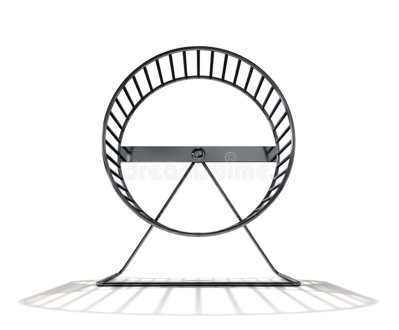Hamster Wheel Empty stock image. Image of spin, vacant - 74339481