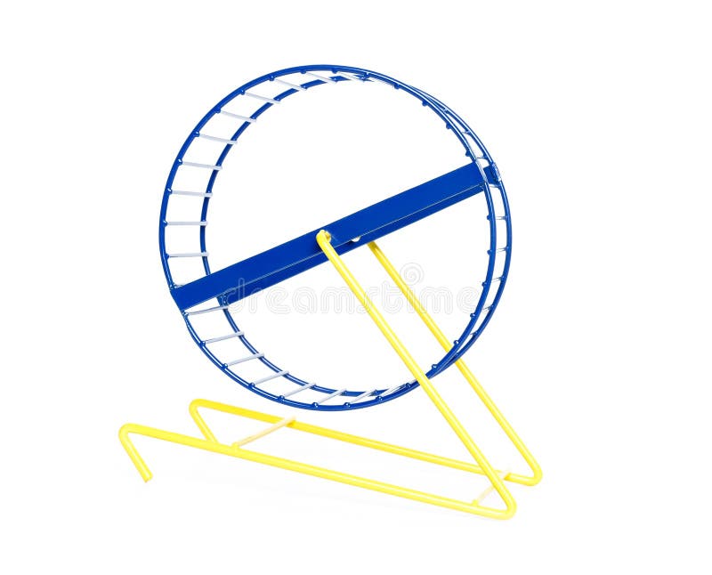 Hamster wheel isolated stock photo. Image of white, blue - 69344586