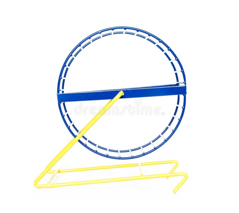 Hamster Blue Wheel Stock Photos - Free & Royalty-Free Stock Photos from ...