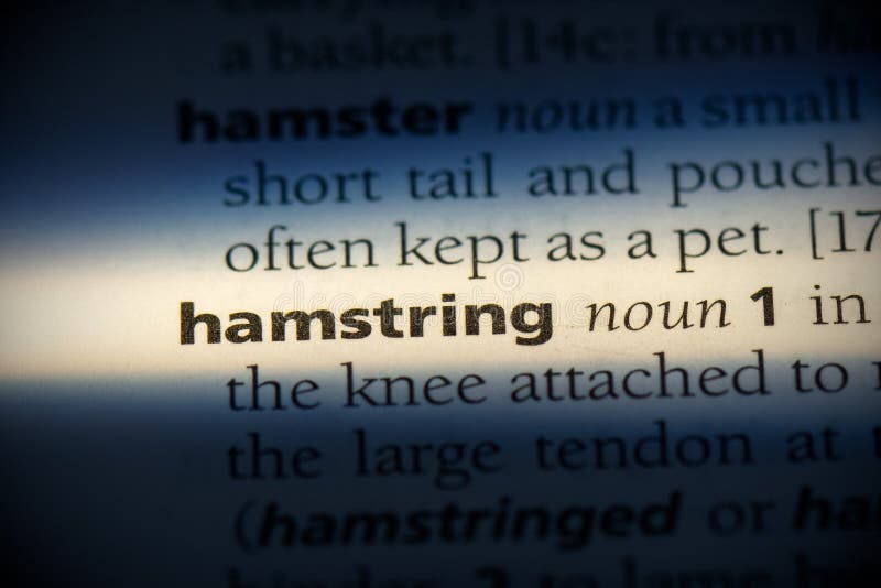 Hamstring Stock Images - Download 2,194 Royalty Free Photos