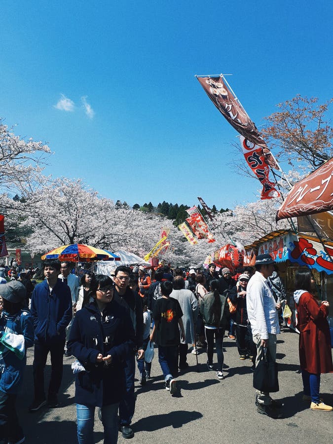 Hanami Japan Cherry Blossom Editorial Stock Image - Image of vehicle ...