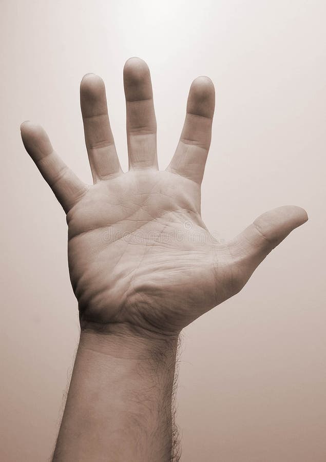 Hand - 2 stock image. Image of index, saphien, five, pinky - 30303