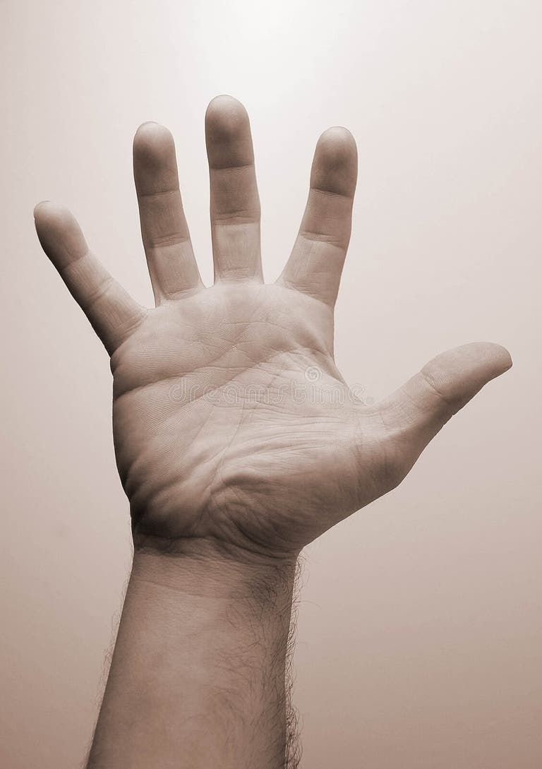 623 Hand Slap Meme Stock Photos - Free & Royalty-Free Stock Photos from ...