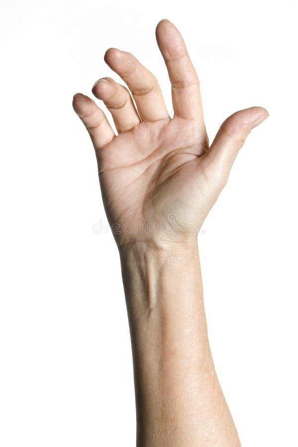 Reaching hands 1 stock image. Image of join, hold, plam - 1056461