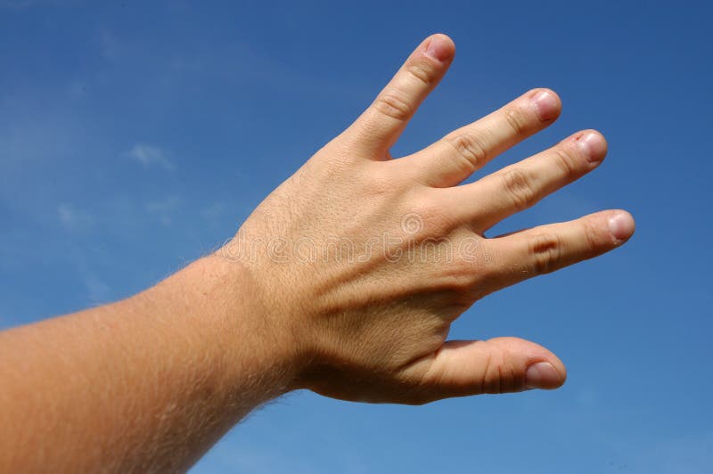 Hand stock image. Image of hand, outside, summer, cipher - 1153207