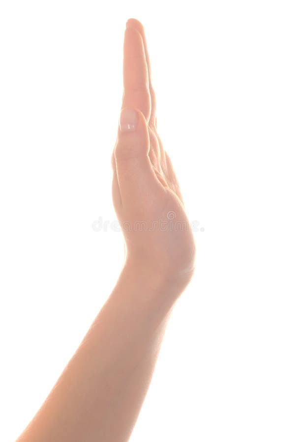 Hand stock image. Image of sideways, woman, human, isolated - 14868665