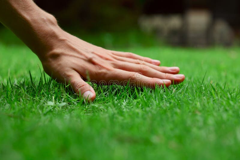 4,258 Hand Touching Grass Stock Photos - Free & Royalty-Free Stock ...