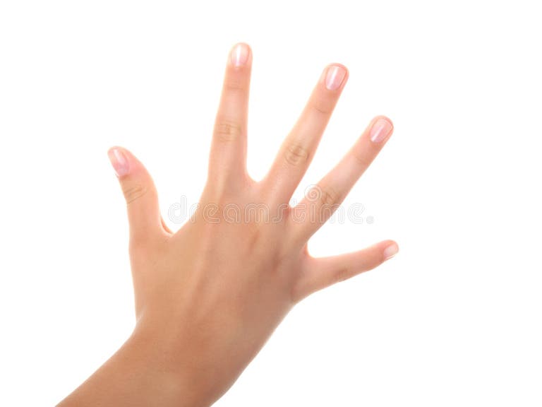 Hand stock photo. Image of open, thumb, white, fingernail - 18855590