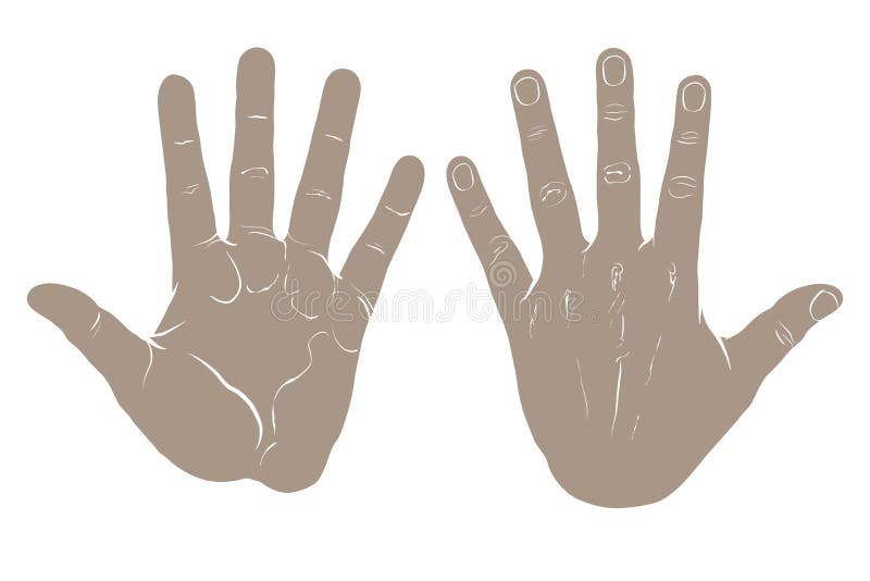 The Back of the Hand, Outline Version Stock Vector - Illustration of ...