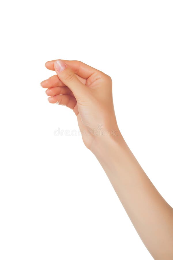 Woman s hand stock image. Image of adult, beautiful, isolated - 36242483